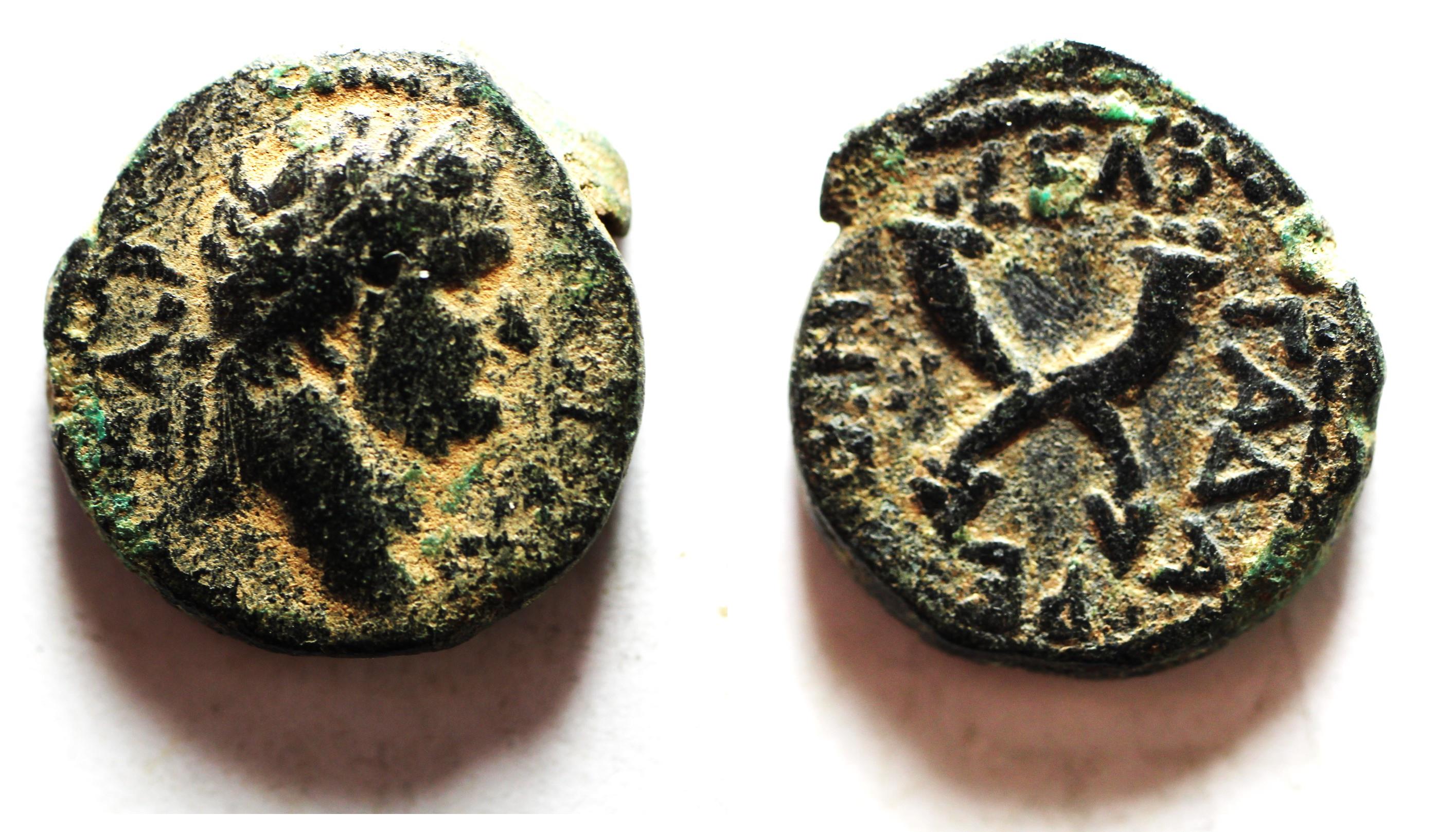 Decapolis. Gadara. Titus AE 18 | Roman Provincial Coins