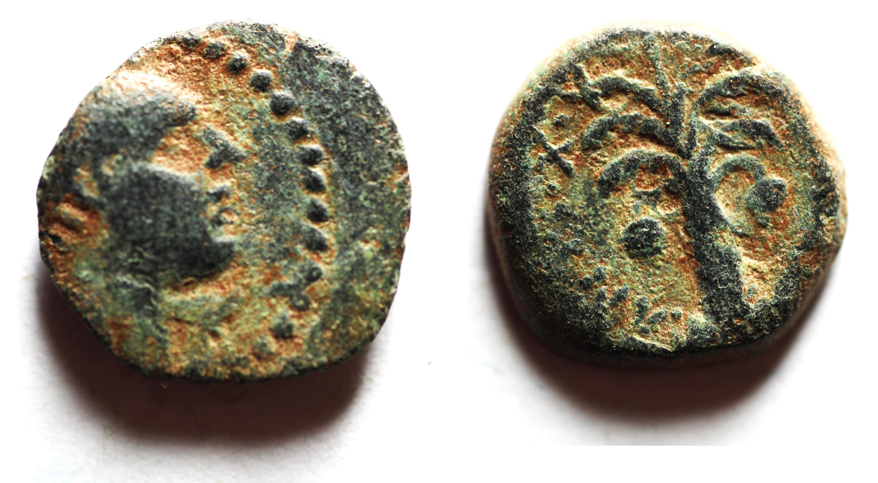 Seleukid Kings, Antiochos III (222-187 BC). Æ 13. TYRE MINT | Greek Coins