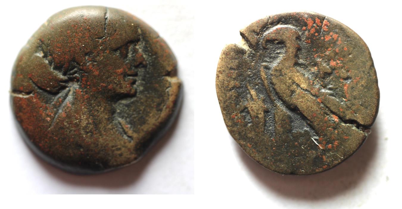 THE FAMOUS CLEOPATRA: PTOLEMAIC EMPIRE. EGYPT. Cleopatra VII Thea 51-30 ...