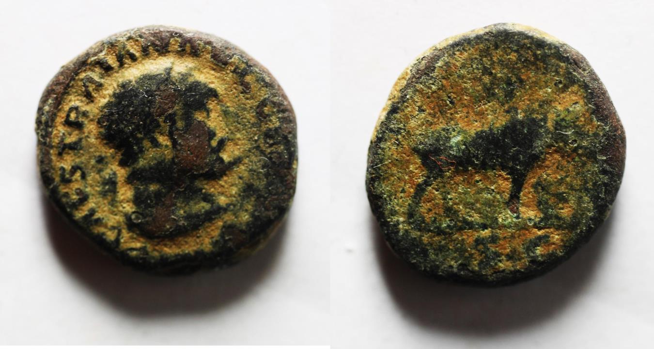 ROMAN IMPERIAL. TRAJAN AE QUADRANS. BOAR | Roman Imperial Coins