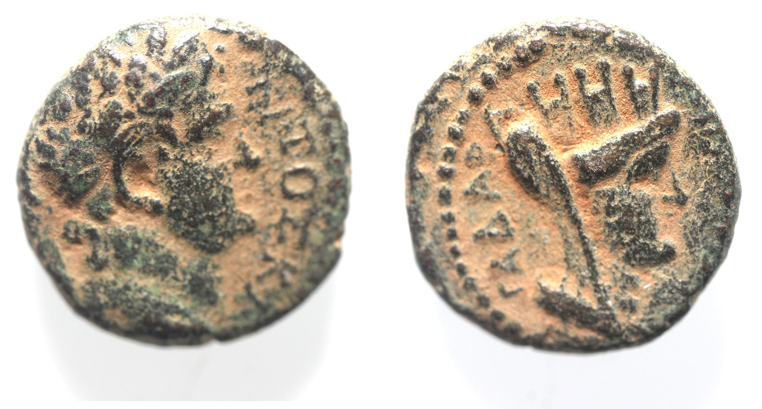 DECAPOLIS. GADARA. TITUS AE 15 | Roman Provincial Coins