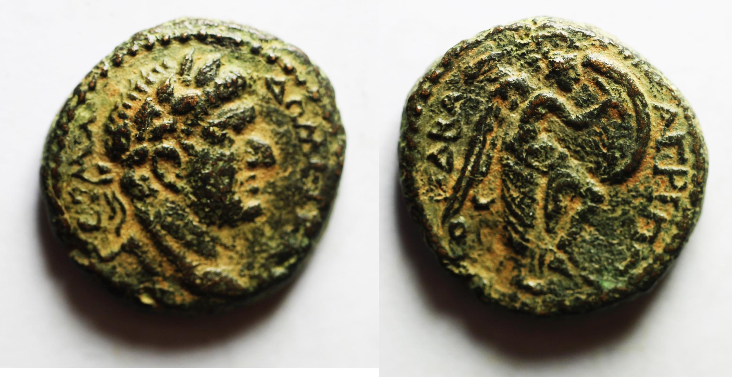 JUDAEA, Herodians. Agrippa II, with Domitian. Circa 50-100 CE. Æ 18