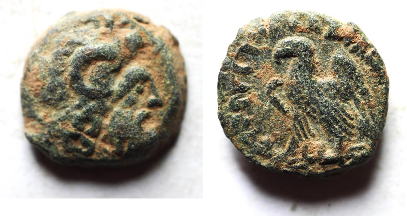 CYRENE: Ptolemaic Kingdom. Ptolemy VIII Euergetes II (Physcon). Second ...