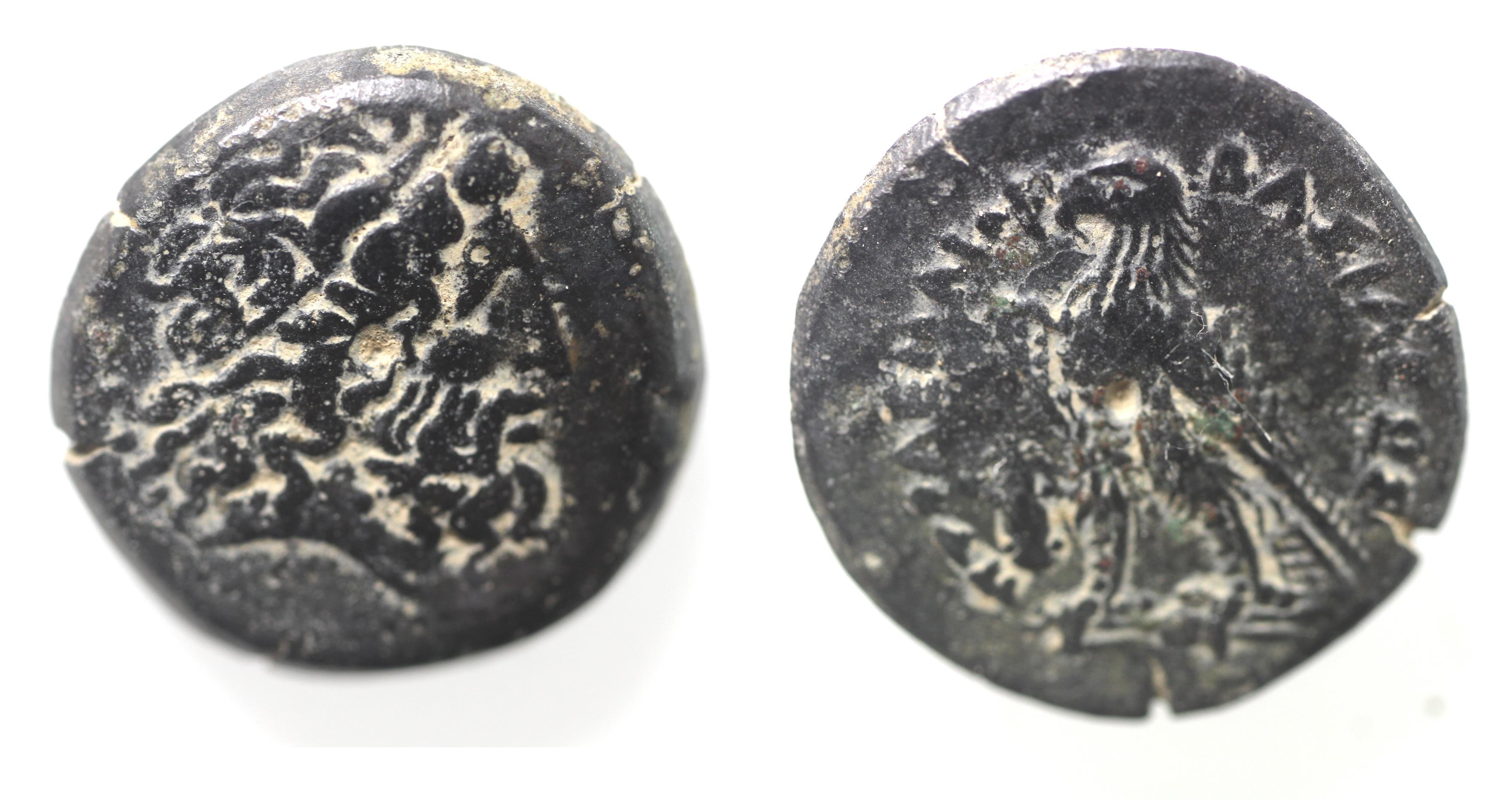 Ptolemaic Kingdom. Ptolemy III AE 19 | Greek Coins