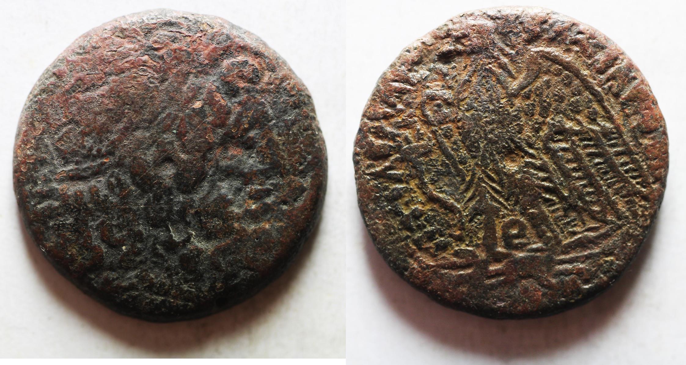 PTOLEMAIC KINGDOM. PTOLEMY II AE 25 . ALEXANDRIA MINT | Greek Coins