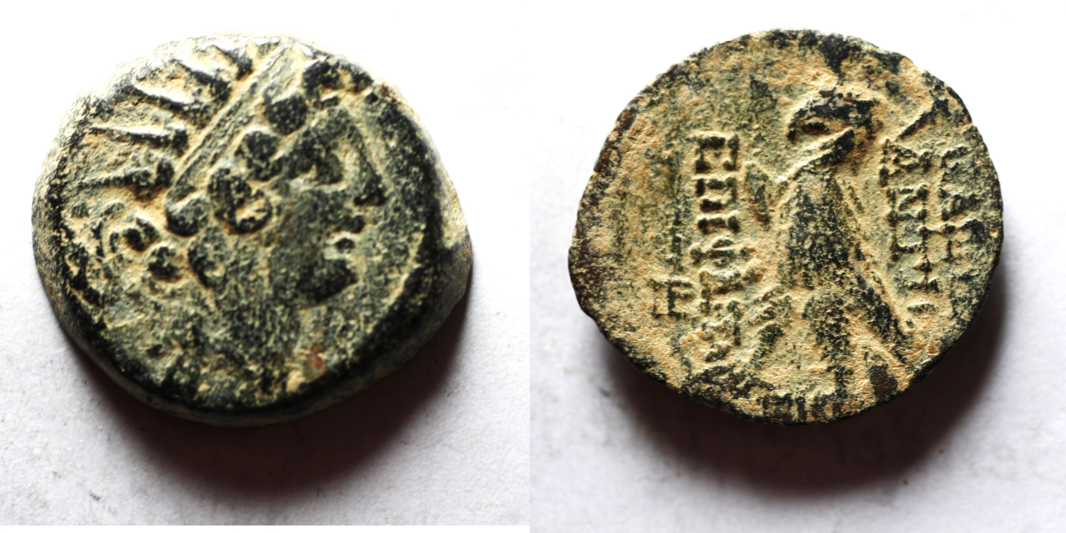 Seleukid Kingdom. Antiochos VIII Epiphanes. AE 19. 120/9 BC | Greek Coins