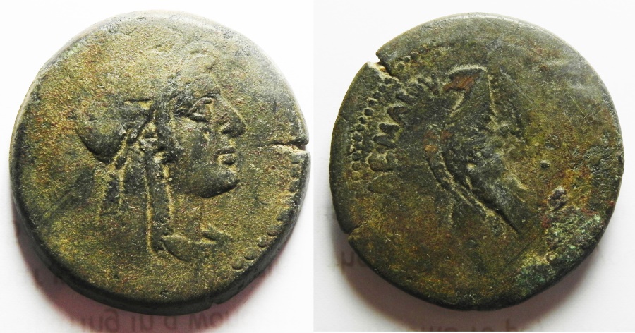 PTOLEMAIC KINGDOM. PTOLEMY V AE DRACHM. CYRENE? | Greek Coins