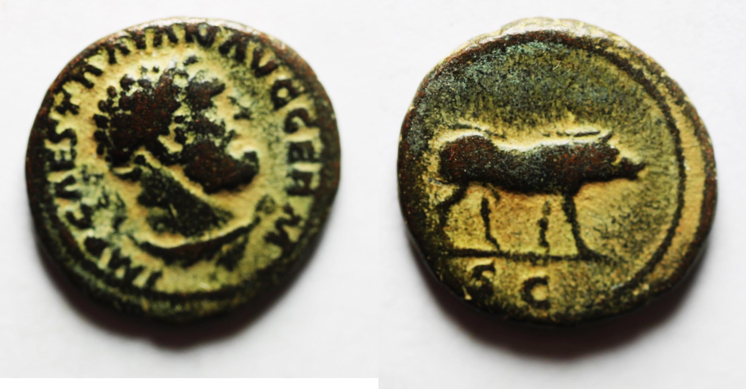 ROMAN IMPERIAL. TRAJAN AE QUADRANS. BOAR | Roman Imperial Coins