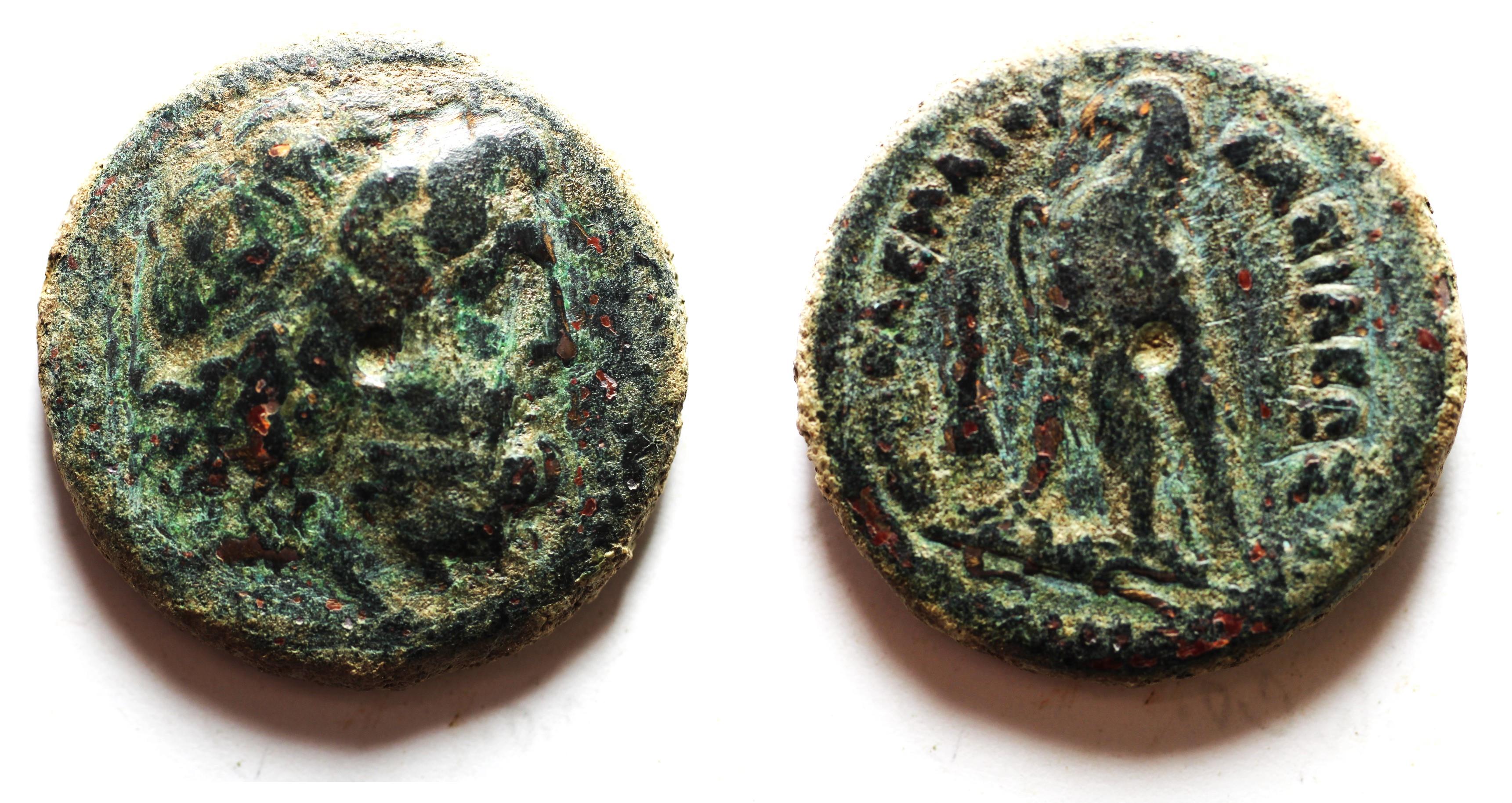 AS FOUND. PTOLEMAIC KINGDOM . PTOLEMY III AE 31. TYRE MINT | Greek Coins