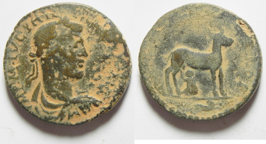 SYRIA, DAMASCUS , PHILIP I AE 28 | Roman Provincial Coins