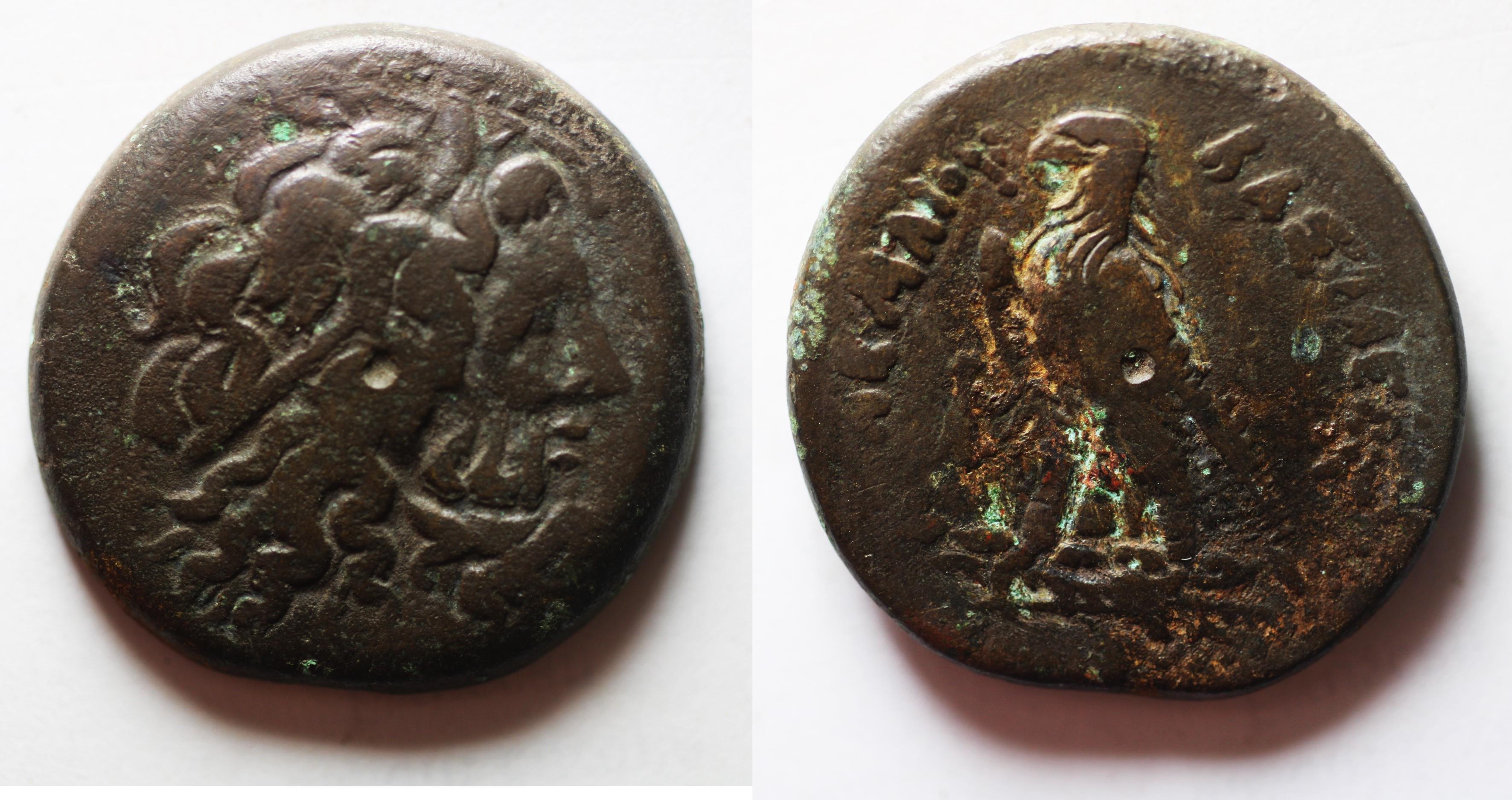 Ptolemaic Kingdom. Ptolemy III ae 34 | Greek Coins