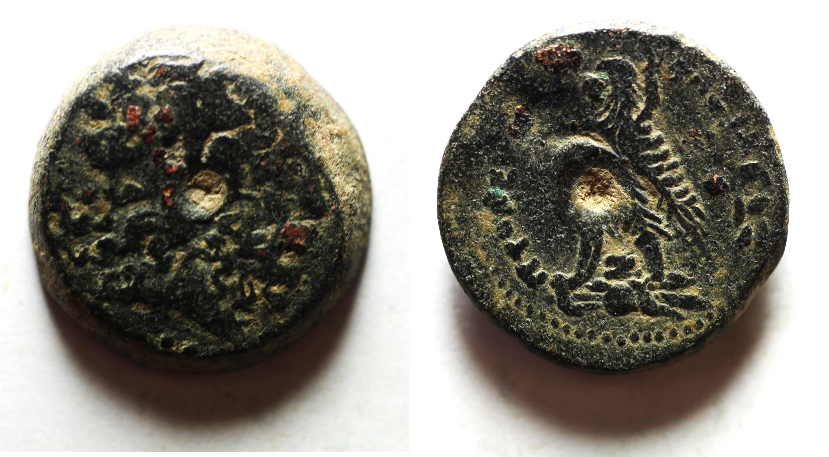 RARE DENOMINATION: PTOLEMY IV AE 19 | Greek Coins