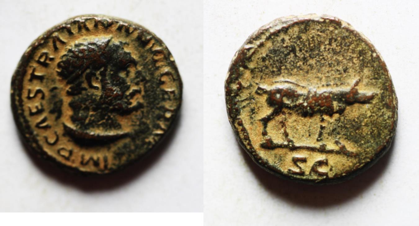 ROMAN IMPERIAL. TRAJAN AE QUADRANS. BOAR | Roman Imperial Coins