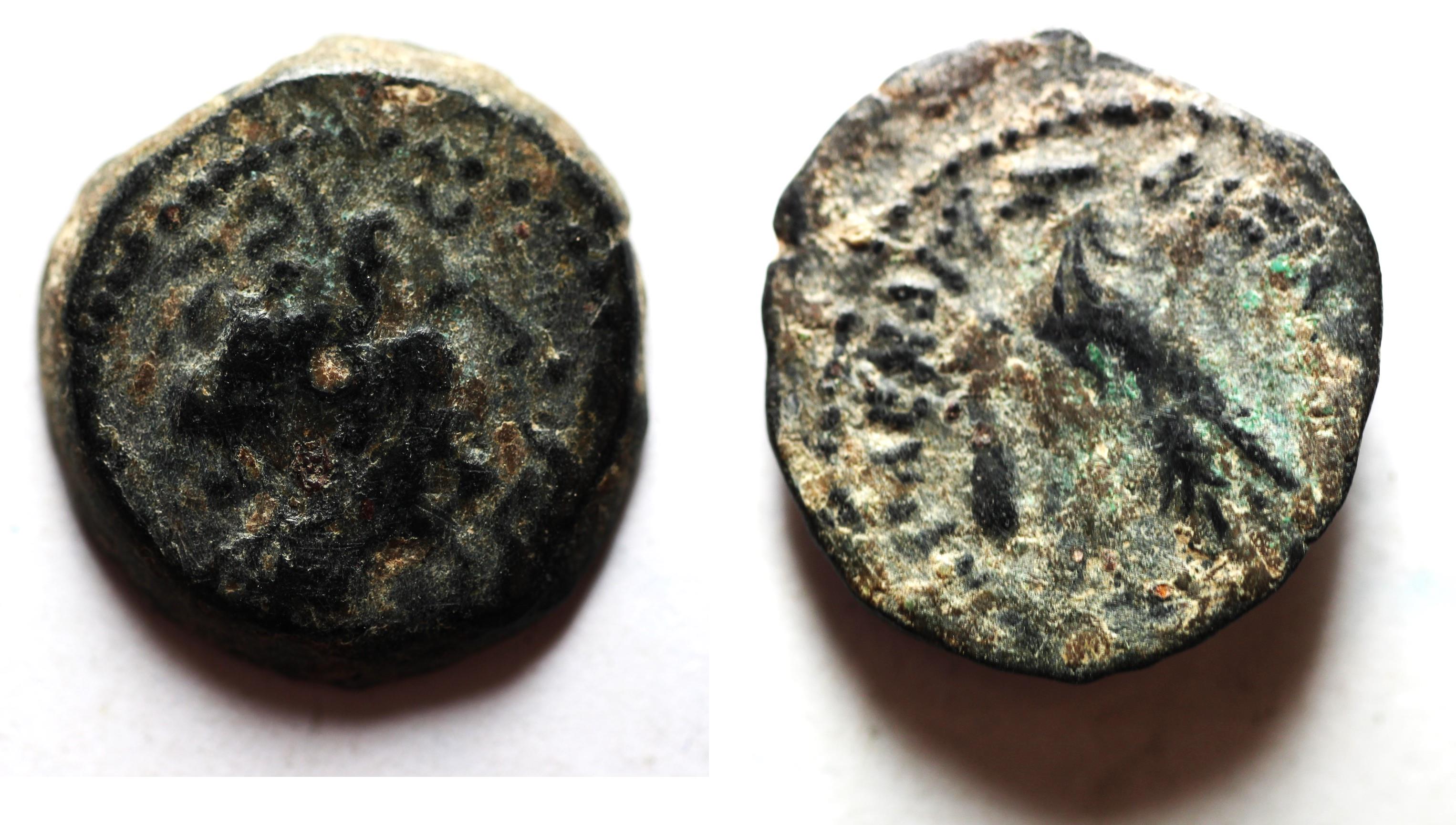 PTOLEMAIC KINGDOM. PTOLEMY III AE 17 | Greek Coins