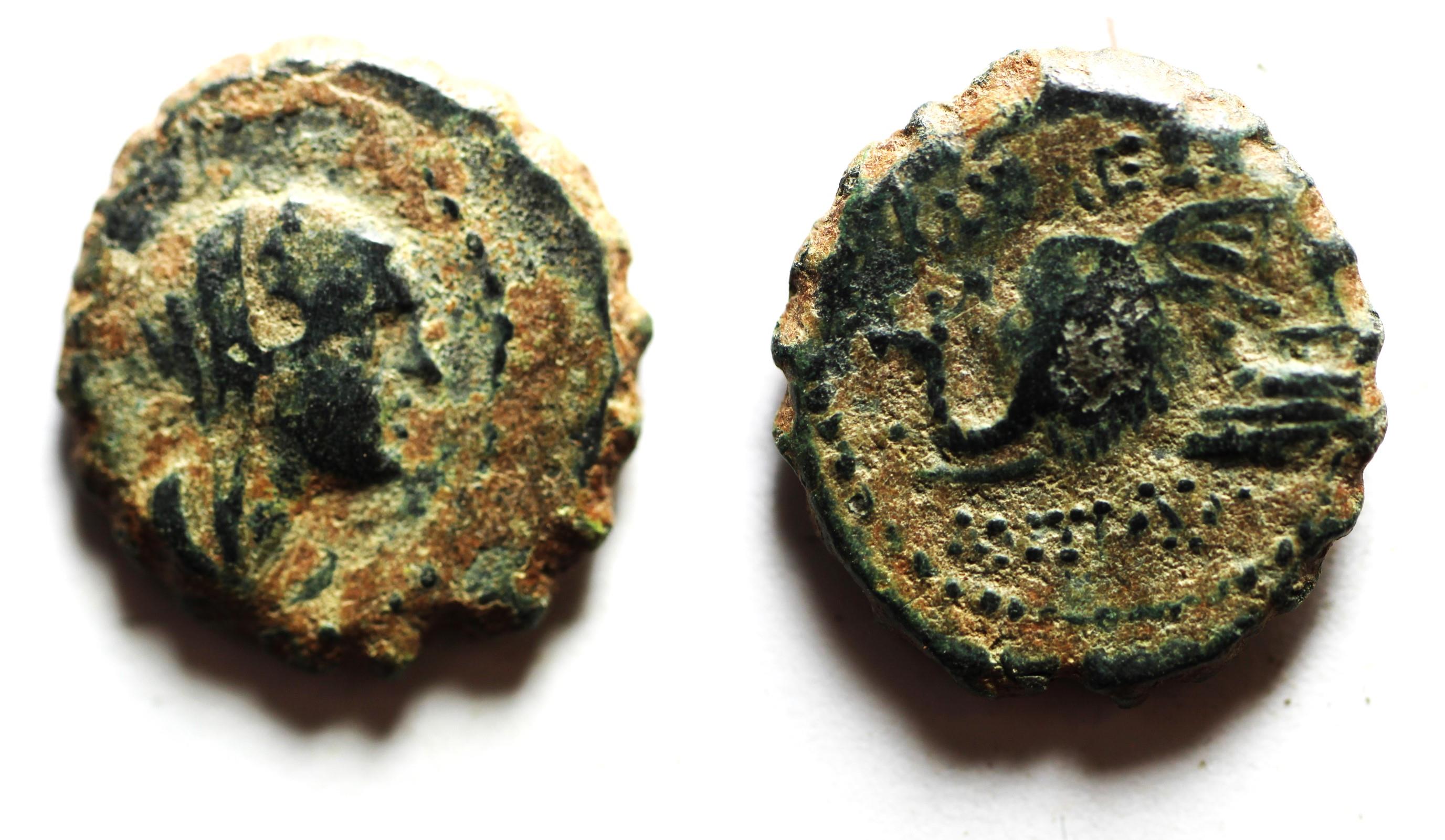 Seleukid Kingdom. Antiochos IV AE16. Elephant | Greek Coins