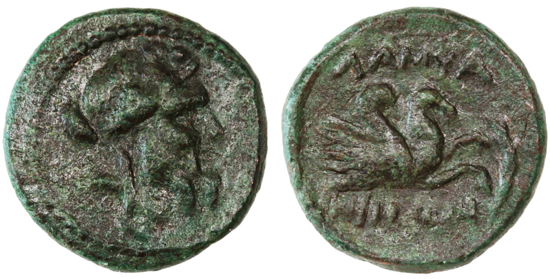 Mysia, Lampsakos AE, Very Fine, 190 - 85 B.C.E. | Greek Coins