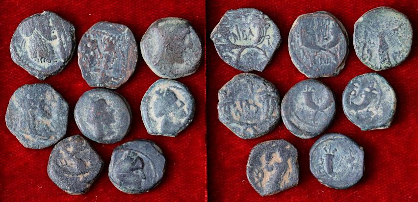 Ancient Nabataean AE, Eight Coin Lot, 3rd B.C.E. - 2nd Century C.E.