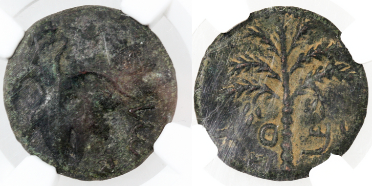Shimon Bar Kokhba AE Medium Denomination, Very Fine, 134/135 C.E.
