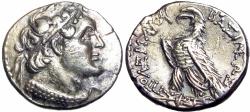 Ptolemy VI Philometor and Ptolemy VIII (180 - 145 BC). | Ancient African Coins