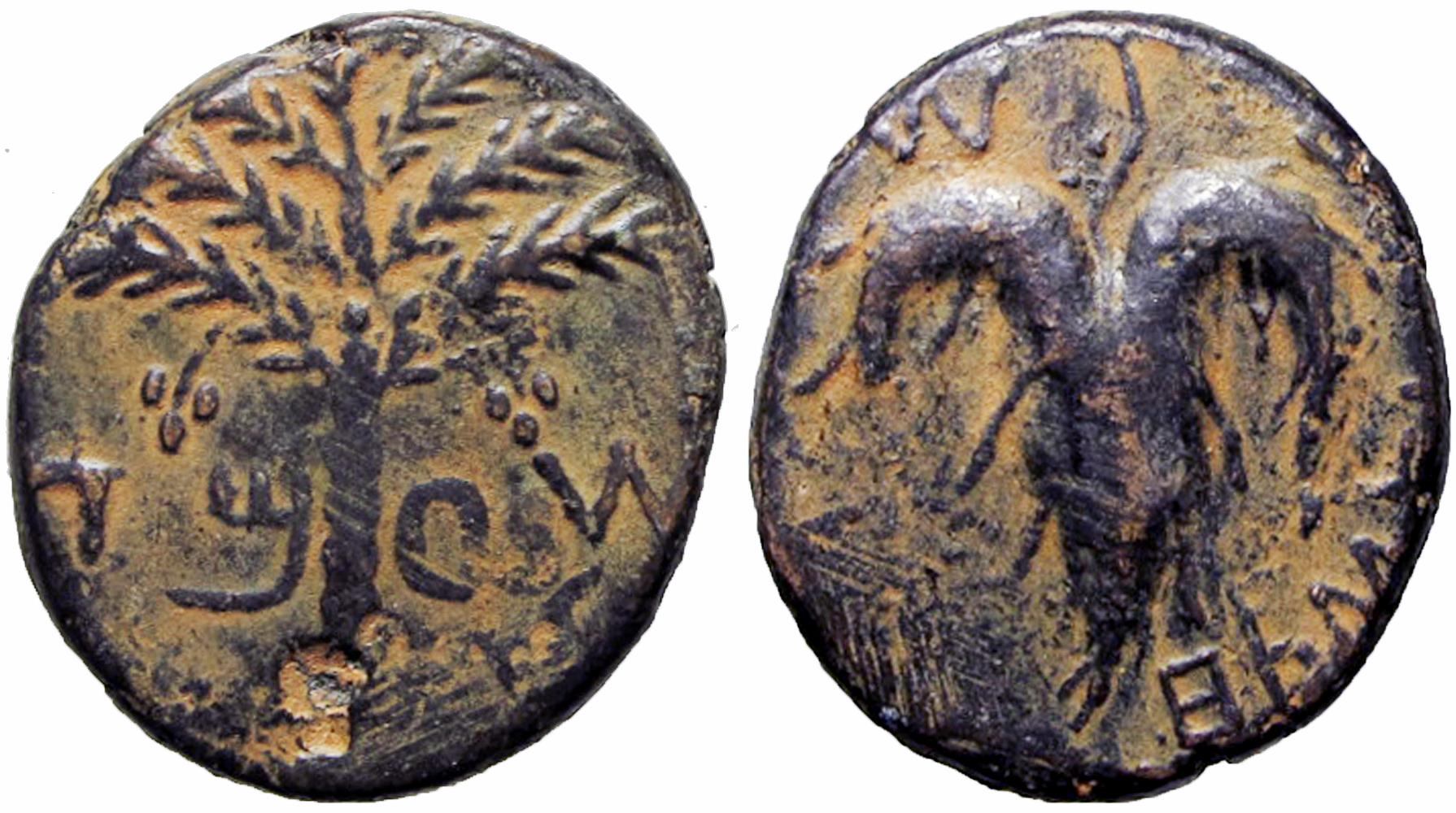 The Bar Kokhba-uprising (132-136 CE). dated year two. | Greek Coins