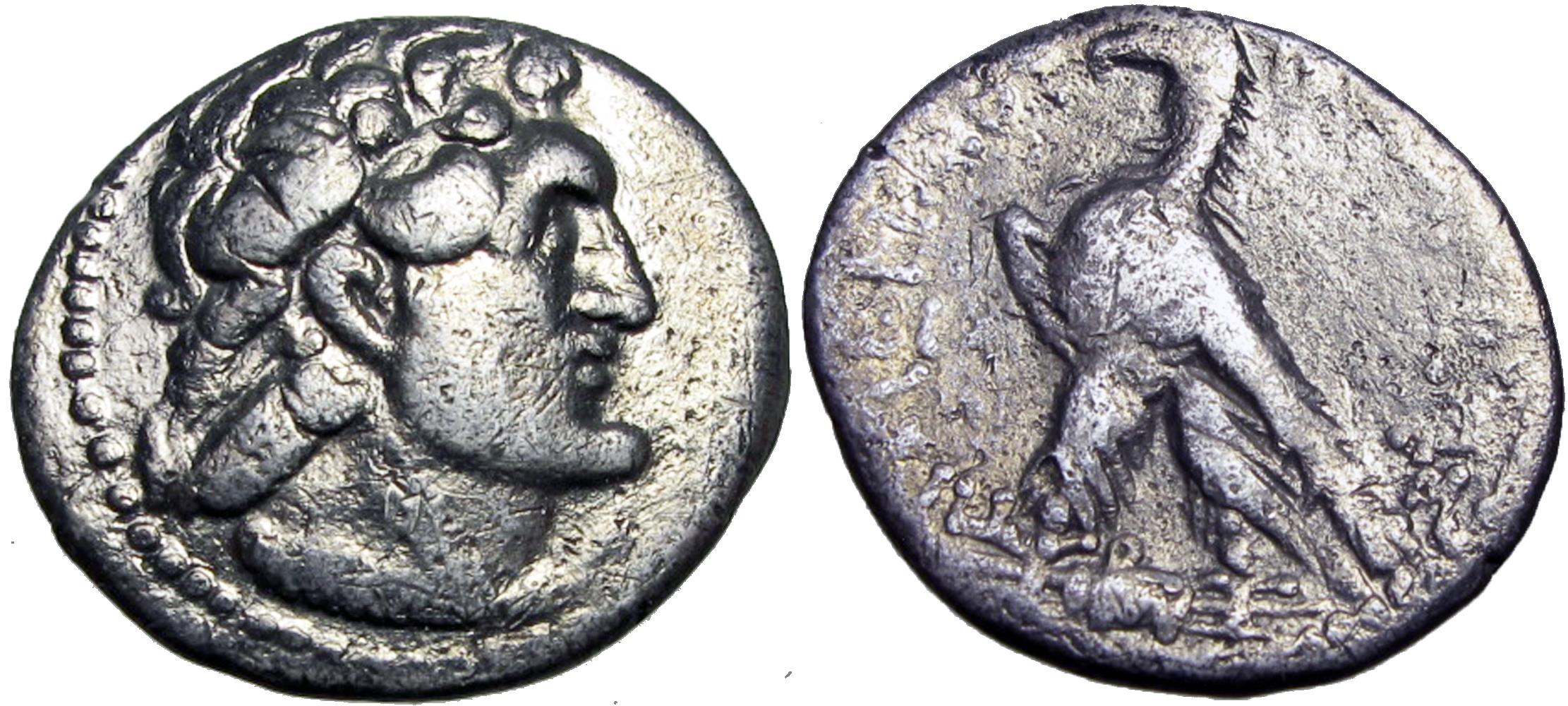 Ptolemy IV Philopator, 221-205. Didrachm, Alexandria 206, Rare