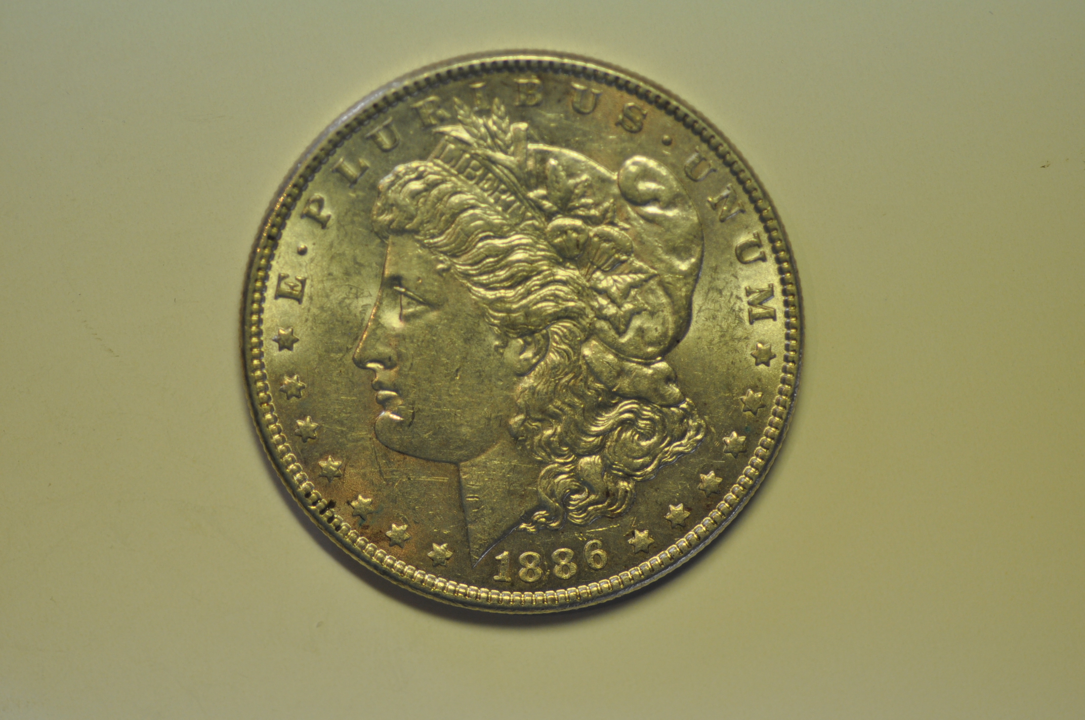 Morgan Dollar 1886 | Dollars