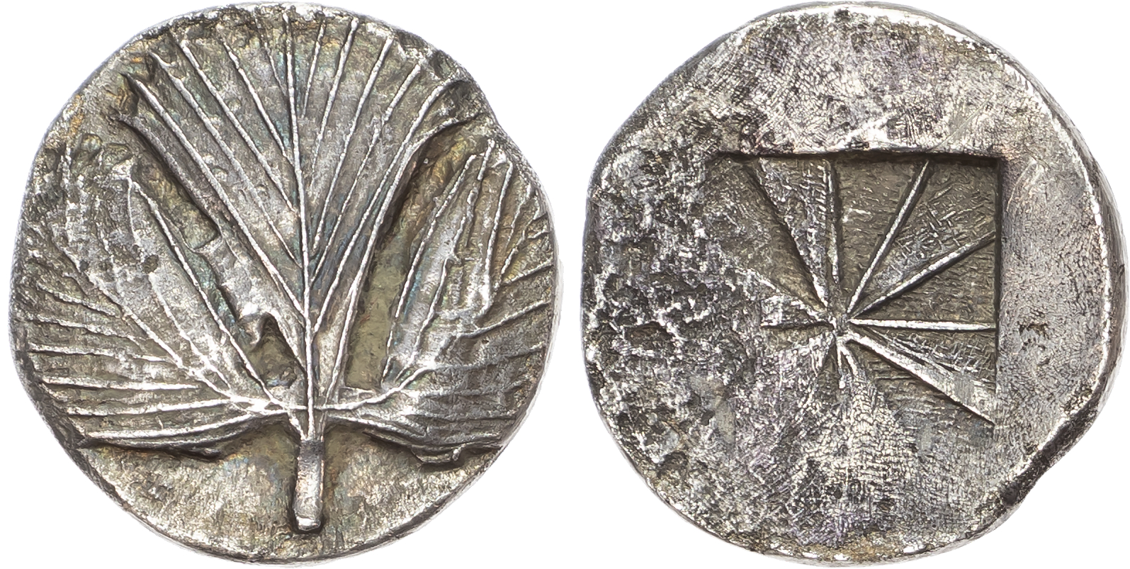 Sicily, Selinos, Silver Didrachm | Greek Coins