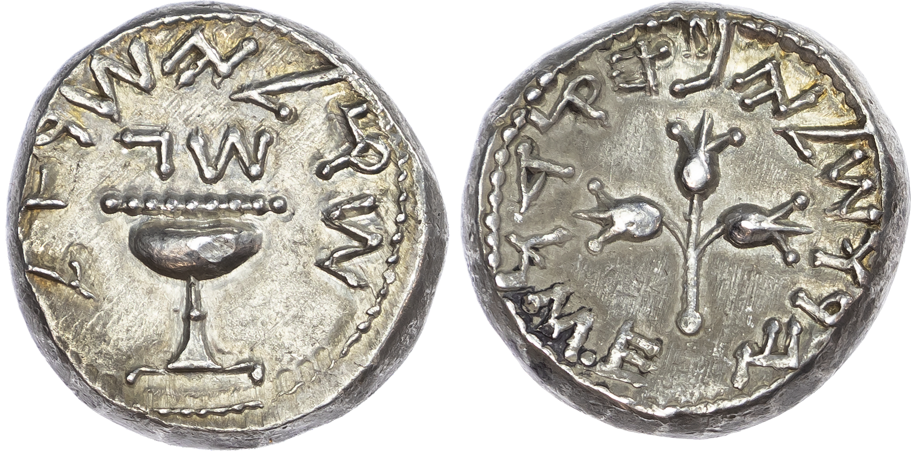 Judaea, First Revolt, Silver Shekel | Greek Coins