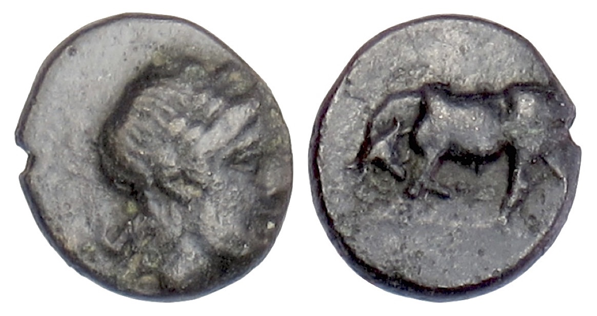 MYSIA, Gambrion. AE 9, 4th century BC. Apollo / Bull | Greek Coins