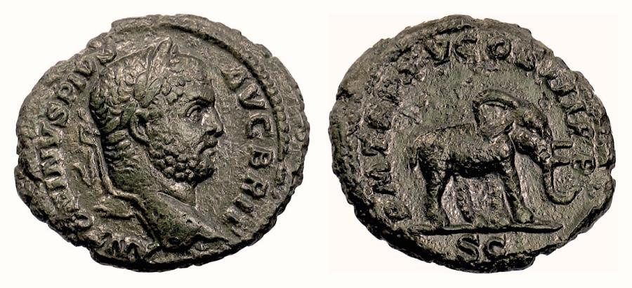 CARACALLA. AE as, Rome, 212 AD. Elephant. RARE | Roman Imperial Coins