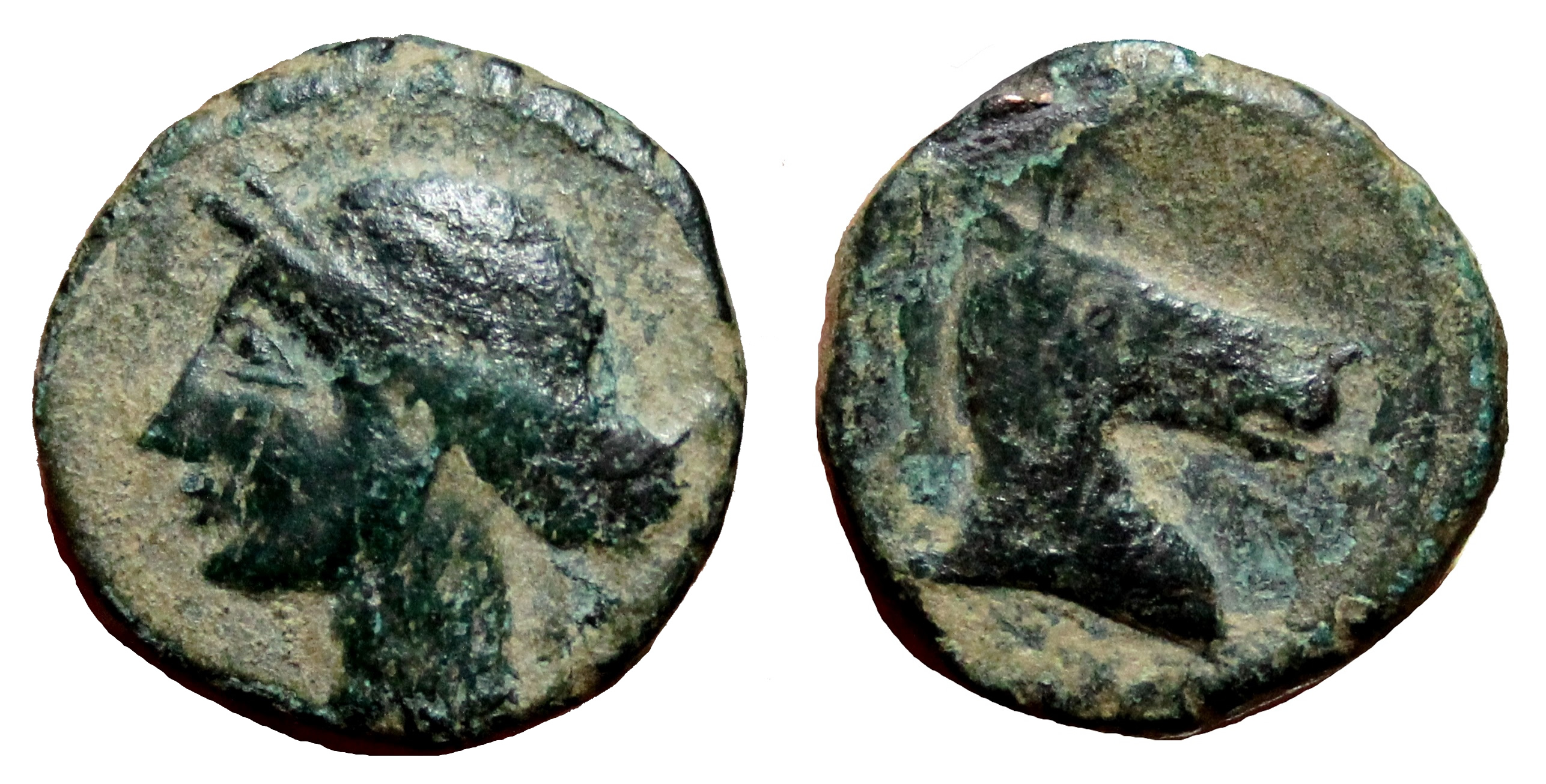 Carthaginian AE Unit. VF+. Circa 237-209 BC. Horse. | Greek Coins