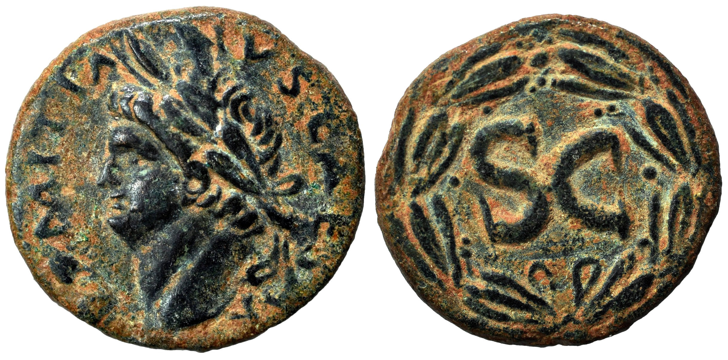 Antioch (Syria) AE21. Domitian. aEF. Large SC. | Roman Provincial Coins