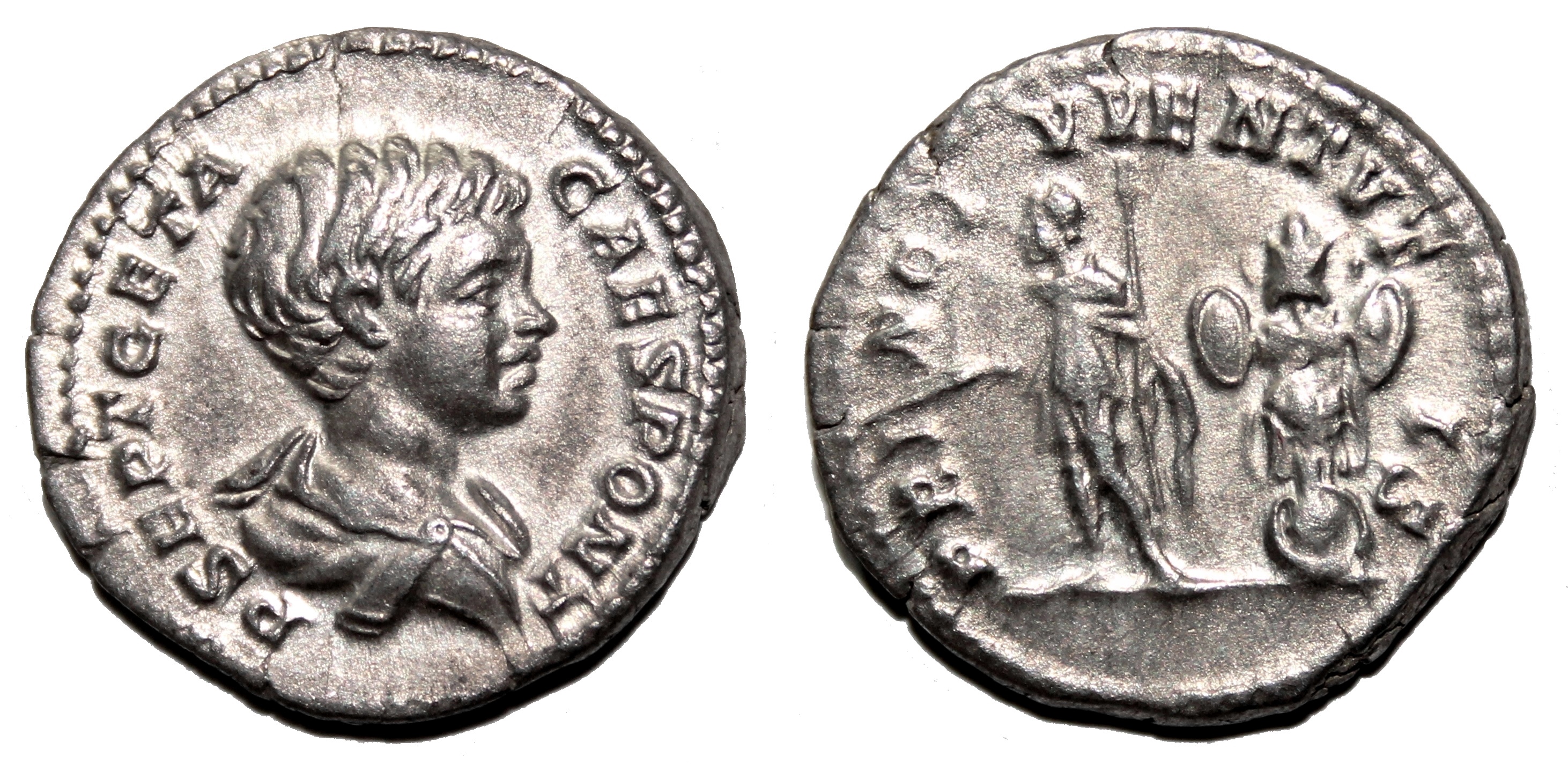 GETA AR Denarius. EF-/VF+. The prince of the youth. | Roman Imperial Coins