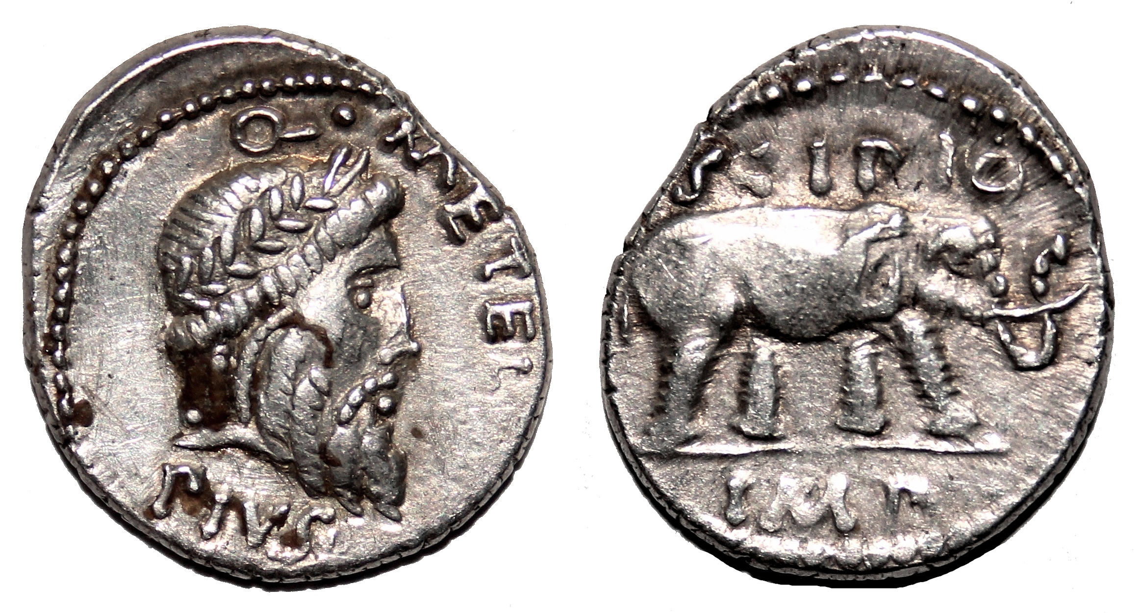 Q. Caecilius Metellus Pius Scipio AR Denarius. EF-. 47-46 BC. Elephant.