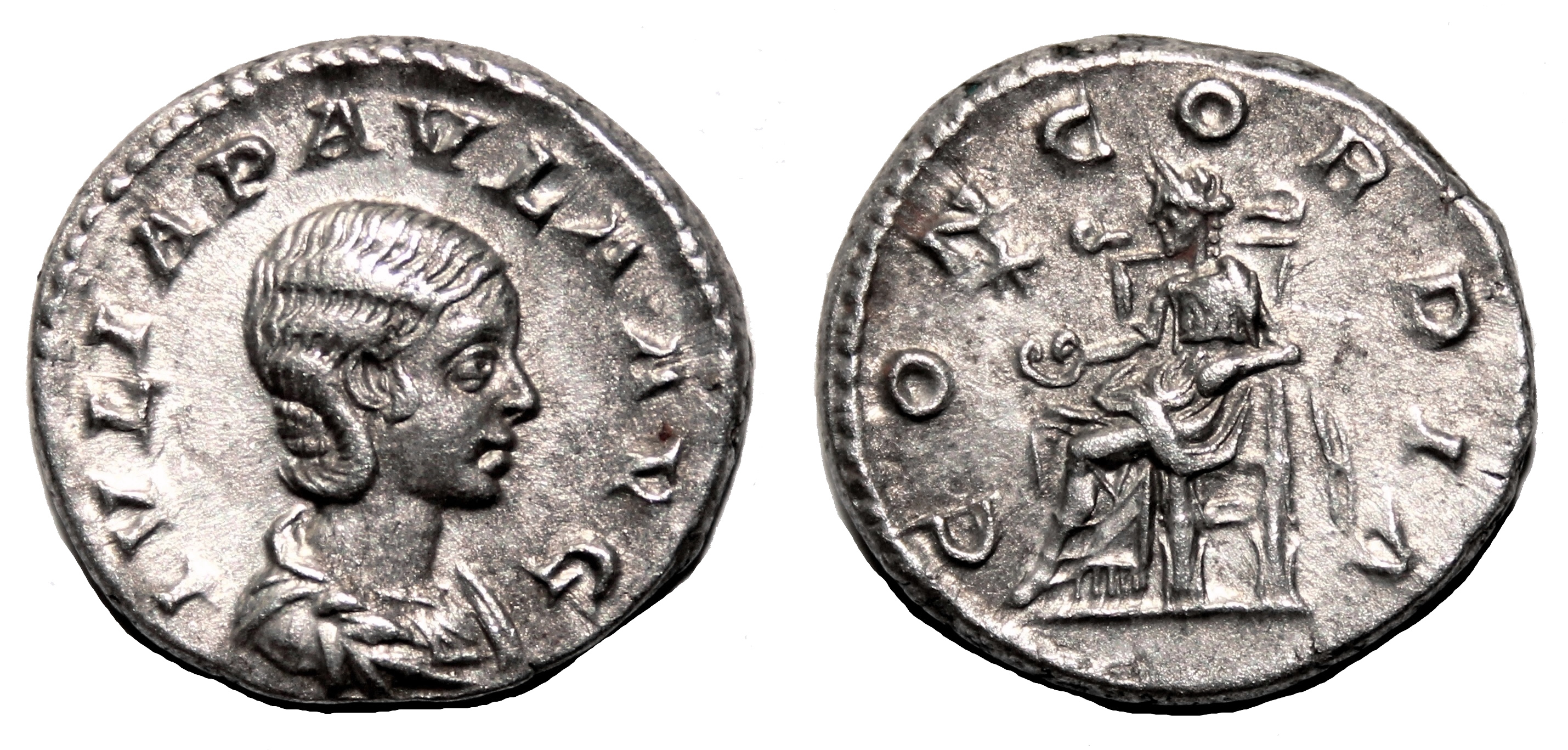 JULIA PAULA AR Denarius. EF-. Concordia. | Roman Imperial Coins