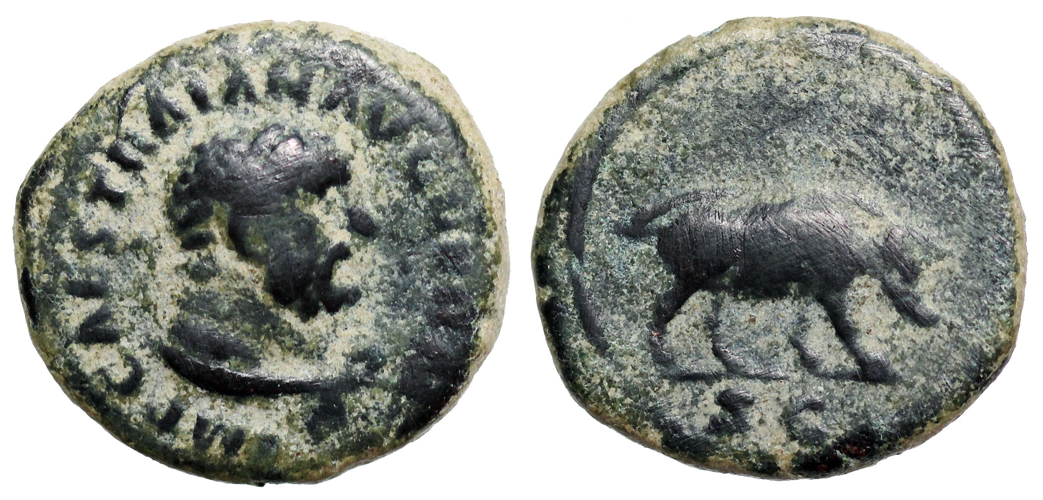 Trajan quadrans with boar reverse from Rome | Roman Imperial Coins