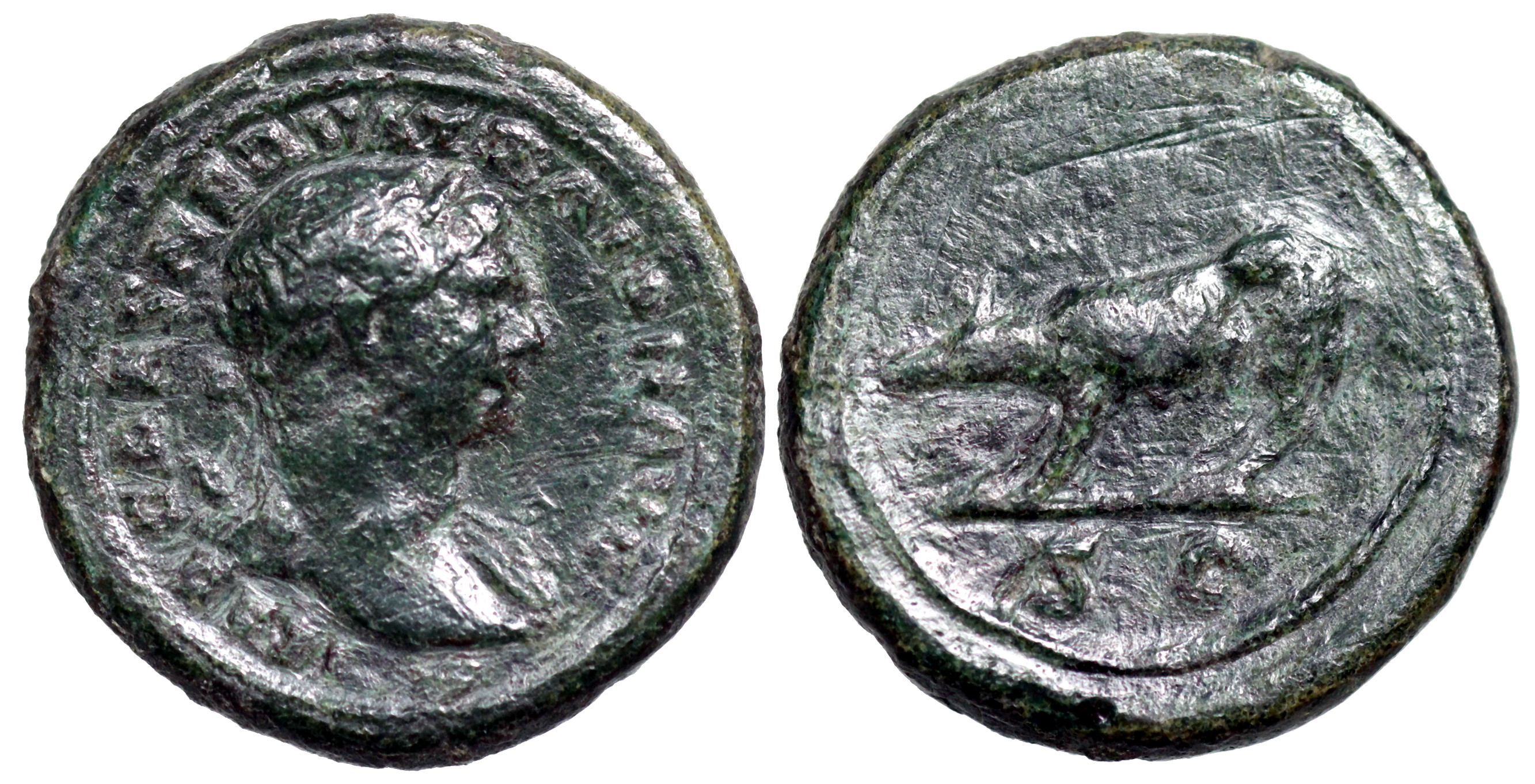 Trajan quadrans with she-wolf reverse from Rome | Roman Imperial Coins