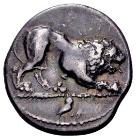 Lucania, Velia | Greek Coins