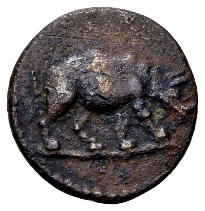 Domitian | Roman Imperial Coins