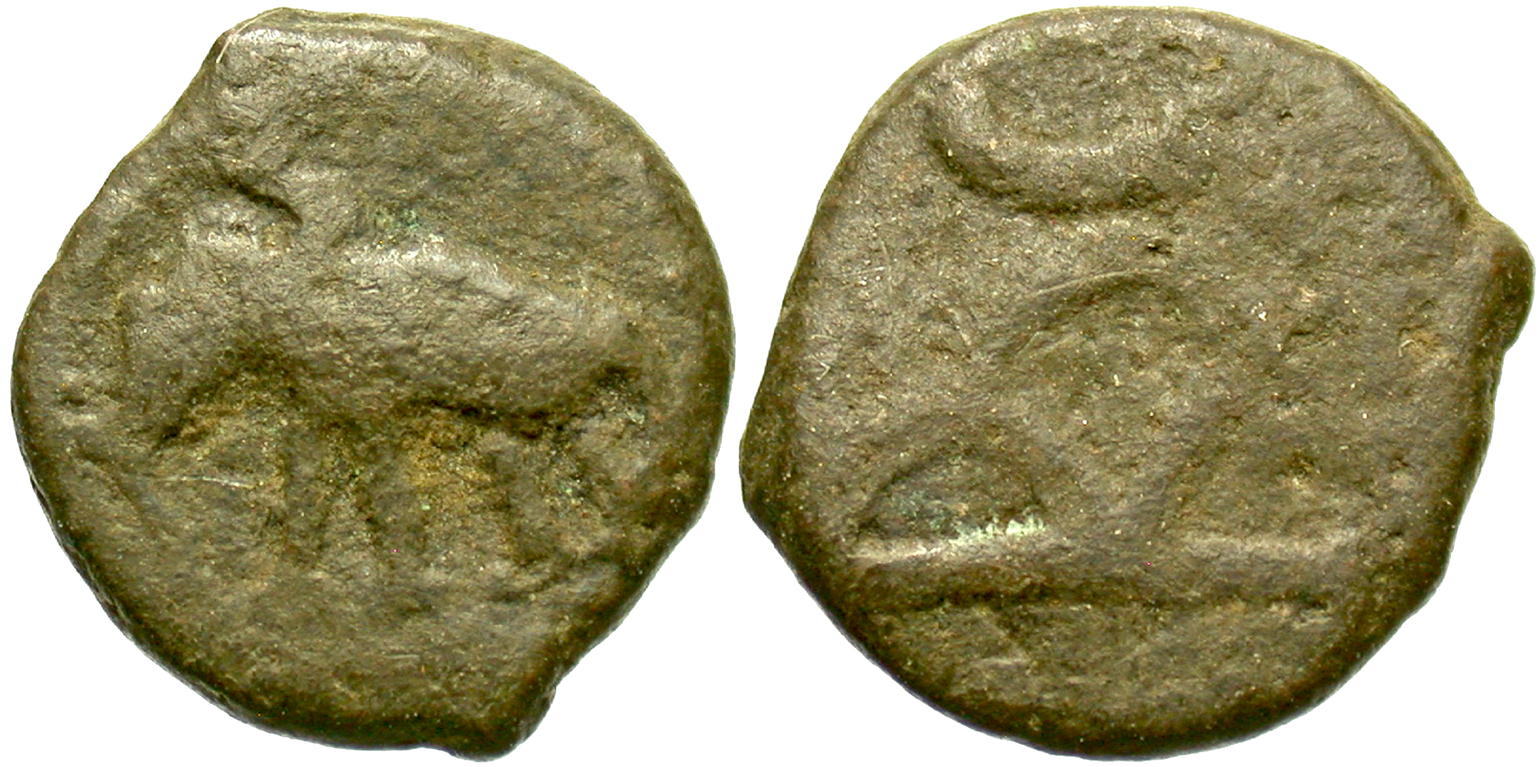 INDIA, SUNGA: Elephant rider copper coin. Rare. | Ancient Eastern Coins