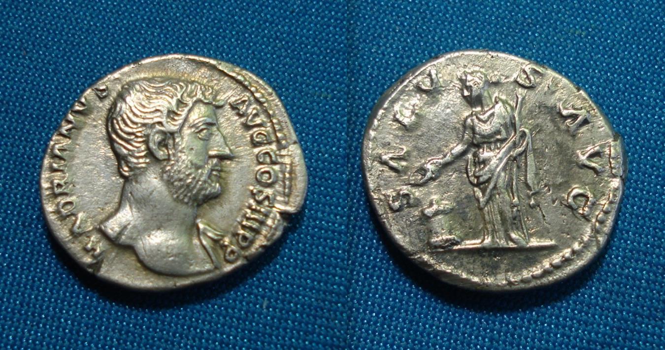 Hadrian AR Denarius Salus | Roman Imperial Coins