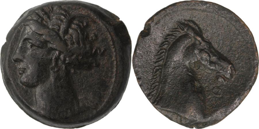 Carthage, c. 300-264 BC. AE 20. Artistic horse head ! | Greek Coins