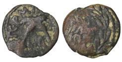 Biblical Coins