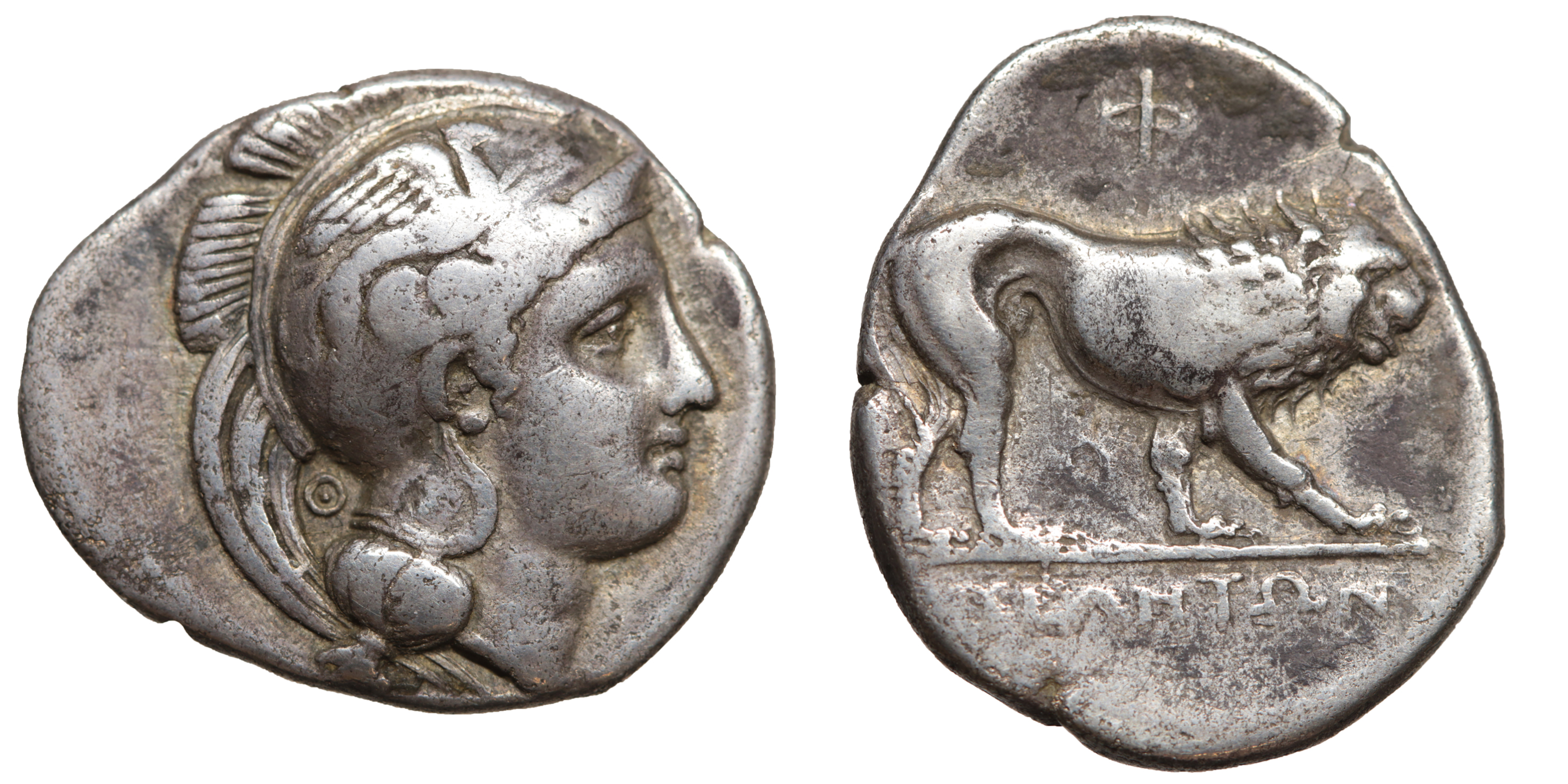 LUCANIA Velia 365-350/40 BC Silver stater Scarce VFXF | Greek Coins