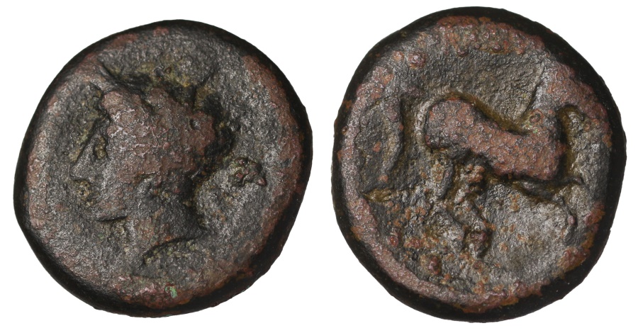 Carthage. c306 B.C. AE17. Bronze Head of Tanit / Horse | Greek Coins