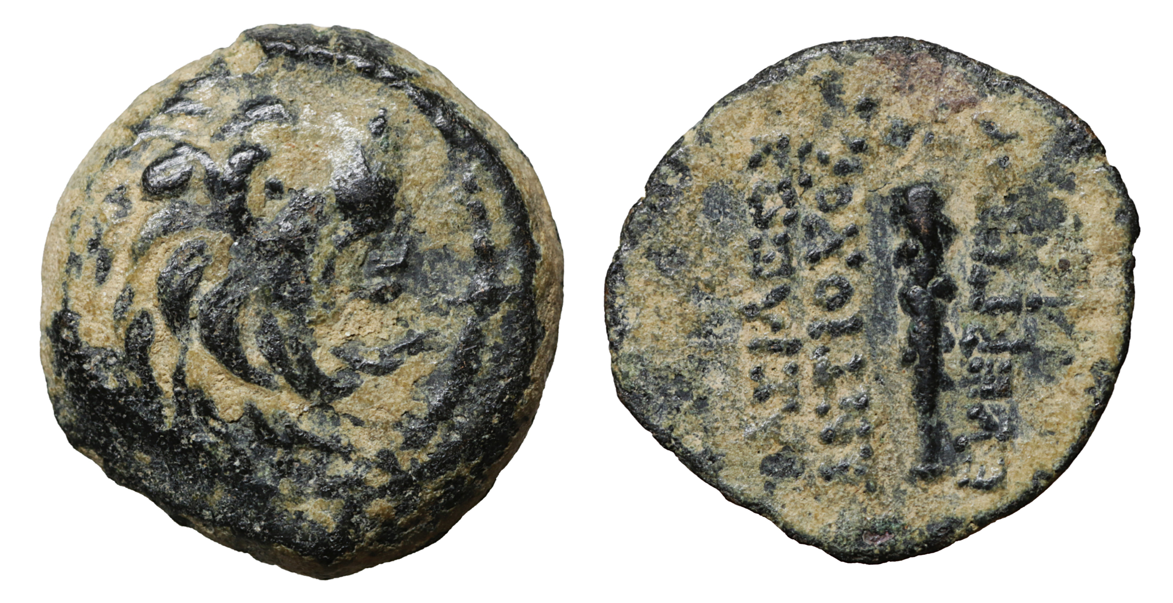 Seleukid Kings Antiochos VII 138-129 BC Bronze Lion Club | Greek Coins