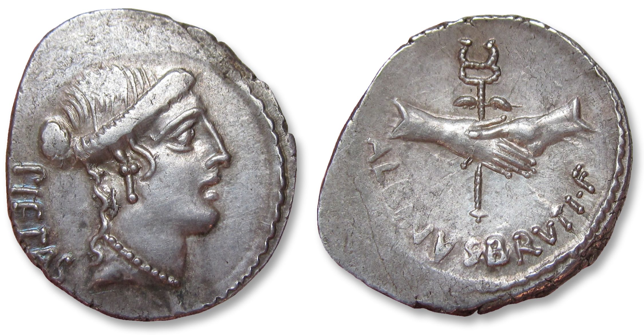 AR denarius Decimus Postumius Albinus Bruti f., Rome mint 48 B.C.