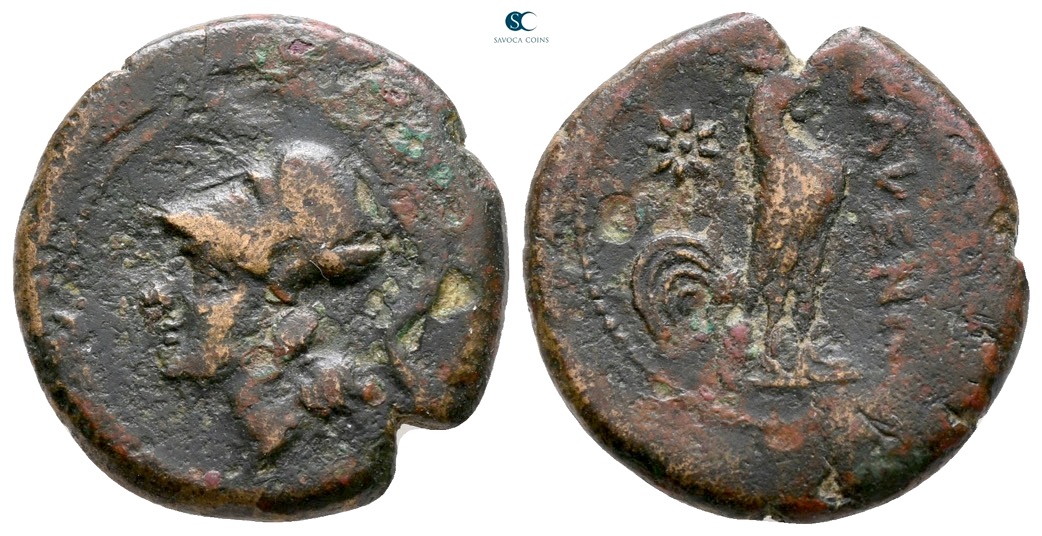 CAMPANIA, Cales. Circa 265-240 BC. Æ | Greek Coins