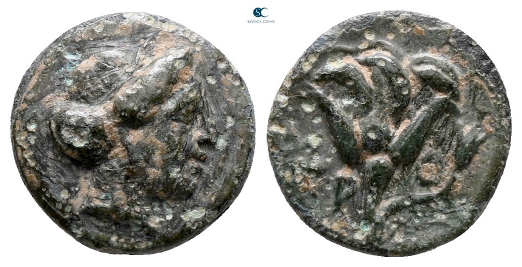 Rhodos, Rhodes Bronze | Greek Coins