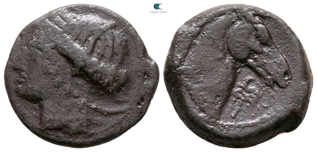 Zeugitania. Carthage circa 300-264 BC. Bronze | Greek Coins